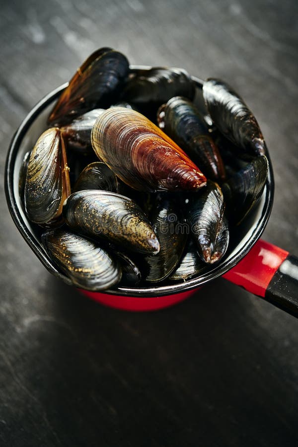 Fresh, Delicious Raw Mussels in a Saucepan Stock Image - Image of ...
