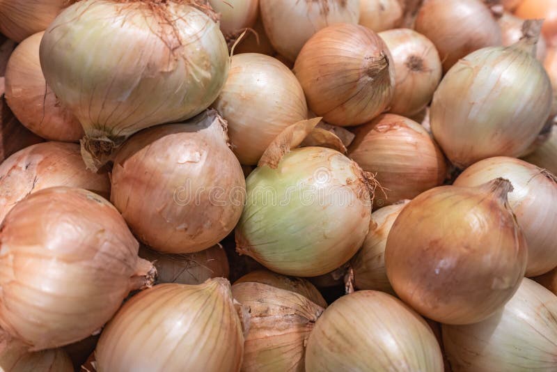 Fresh Delicious Yellow Onions Stock Image - Image of culinary, kitchen ...