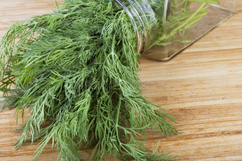 Fresh Dill stock image. Image of vegetable, dill, healthy - 15327237
