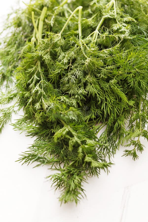 Fresh dill stock image. Image of spice, herb, spring - 29497769