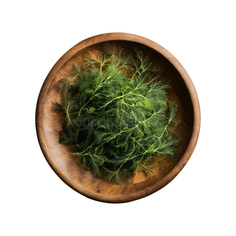 Fresh Dill Arranged Next To a Plate of Pickles Stock Photo ...