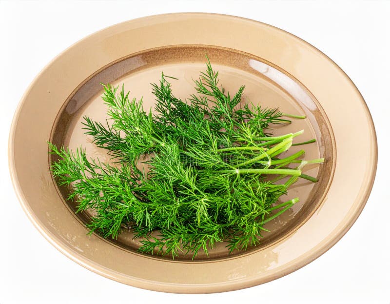 Fresh Dill on Brown Plate White Background Stock Illustration ...