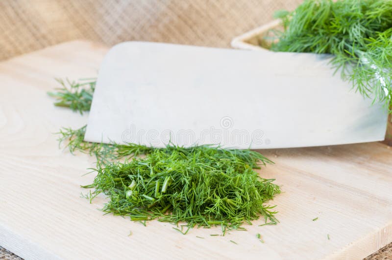 Fresh dill cut stock image. Image of closeup, macro, bunch - 41456911