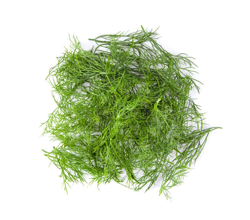 Fresh Dill in Isolated on White Background Stock Image - Image of spice ...