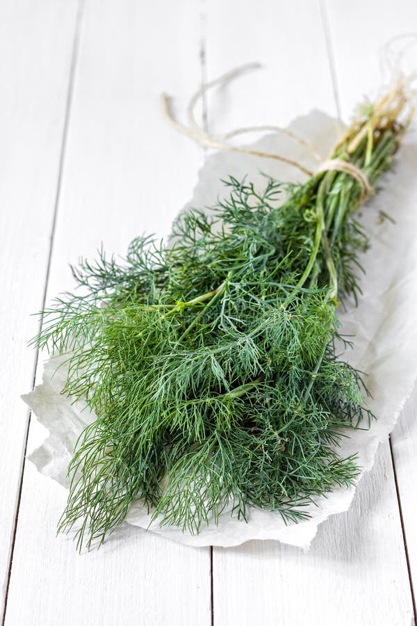 Fresh dill stock photo. Image of fresh, gardening, aroma - 33344958