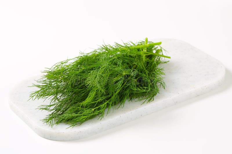 Fresh dill stock image. Image of cutting, fresh, ingredient - 56645007