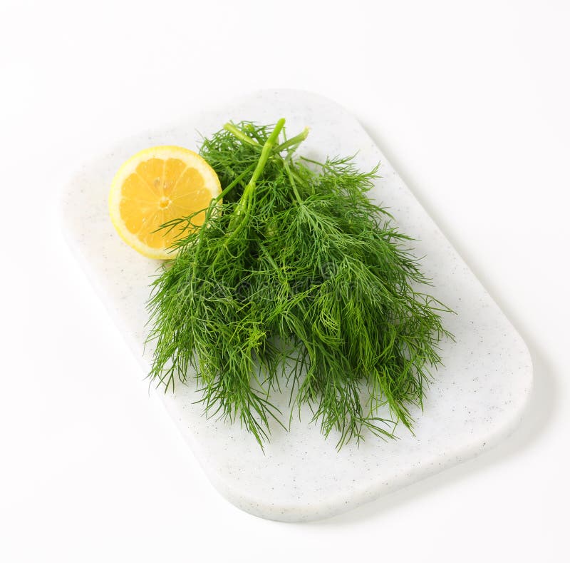 Fresh dill stock image. Image of green, plant, ingredient - 56645069
