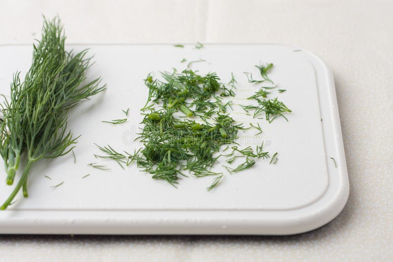 Fresh dill stock photo. Image of ingredient, healthy - 51160742