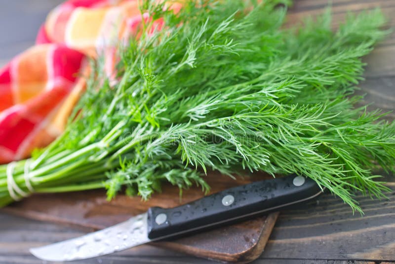 Fresh dill stock photo. Image of dill, branch, produce - 40829038