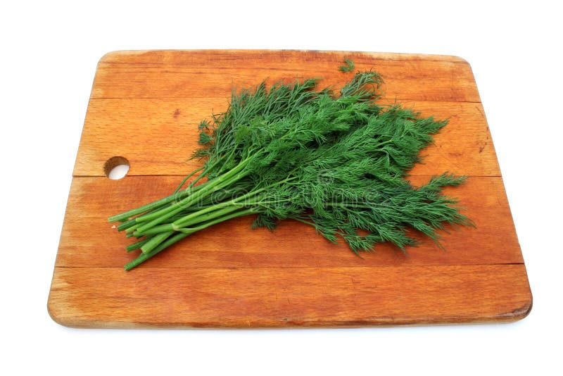 Fresh dill stock photo. Image of gourmet, agriculture - 55418470