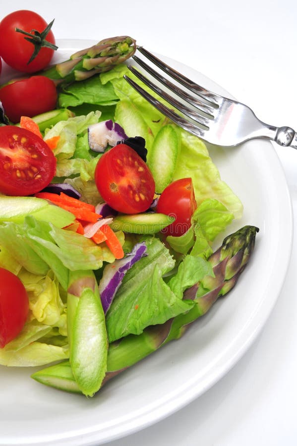 Salad stock photo. Image of light, salad, gourmet, healthy - 3024900