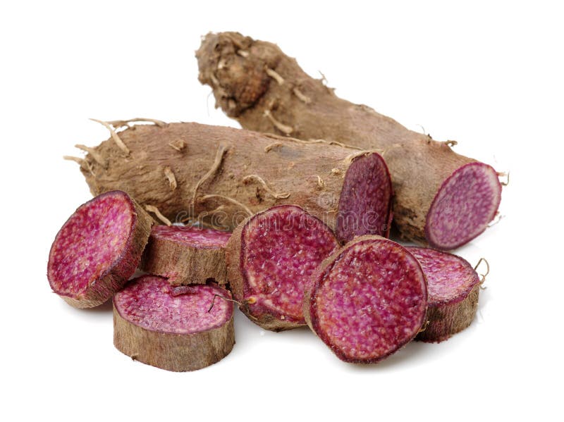 Fresh Dioscorea alata root stock image. Image of nobody - 143582655