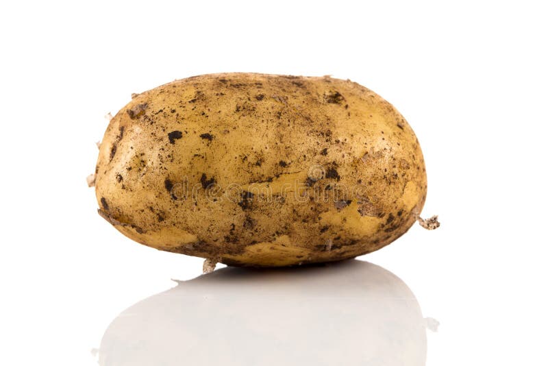 Dirty Potato Isolated on White Background Stock Photo - Image of health ...