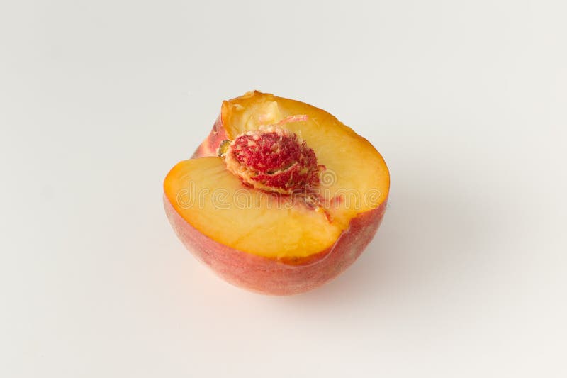 1,640 Dissected Stock Photos - Free & Royalty-Free Stock Photos from ...