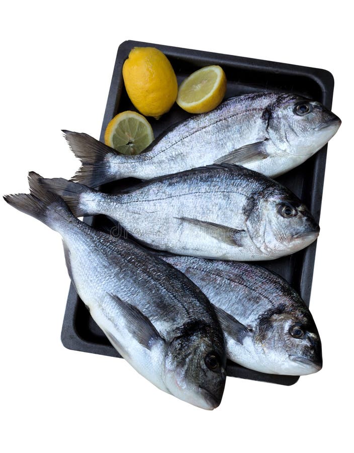 Fresh dorada fish stock image. Image of eating, closeup - 33613747