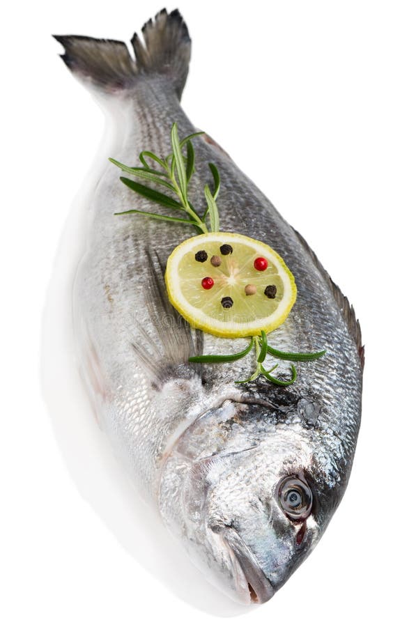 Fresh dorada fish stock photo. Image of gilt, fish, white - 64619952