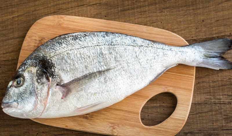 Fresh dorada fish stock image. Image of dorado, uncooked - 58765453