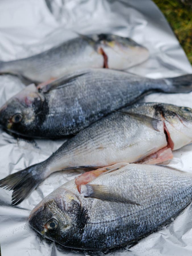Fresh dorado fish stock photo. Image of fresh, grill - 110756508