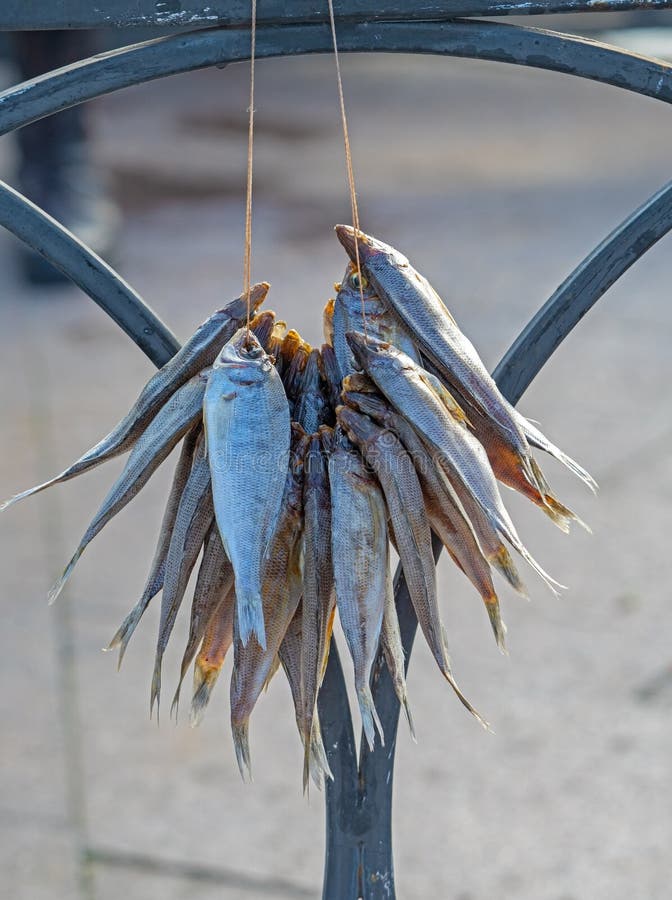 Fresh Dried Black Sea Fish on Sale Stock Image - Image of tropical ...