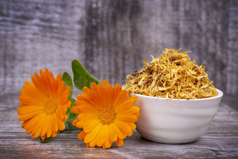 Fresh and Dried Calendula Officinalis Herbal Flowers Stock Photo ...