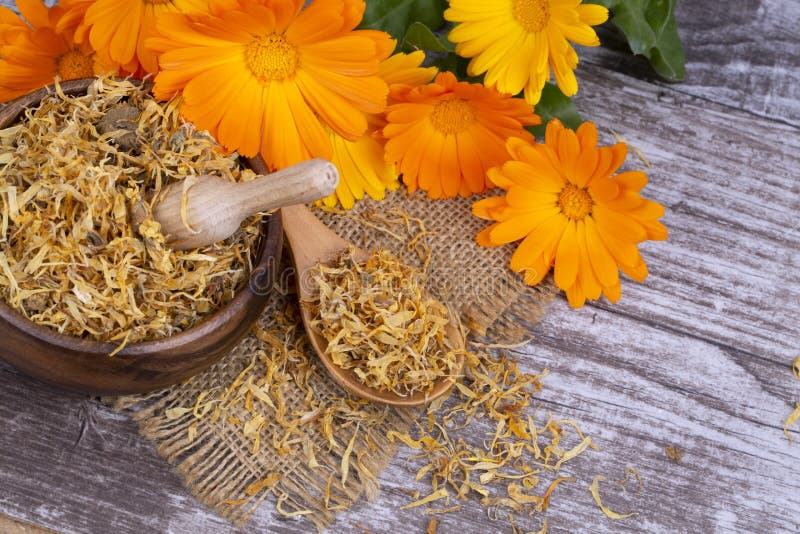 Fresh and Dried Calendula Officinalis Herbal Flowers Stock Photo ...