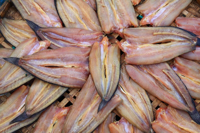 Fresh dried fish stock photo. Image of asia, market, food - 25229584