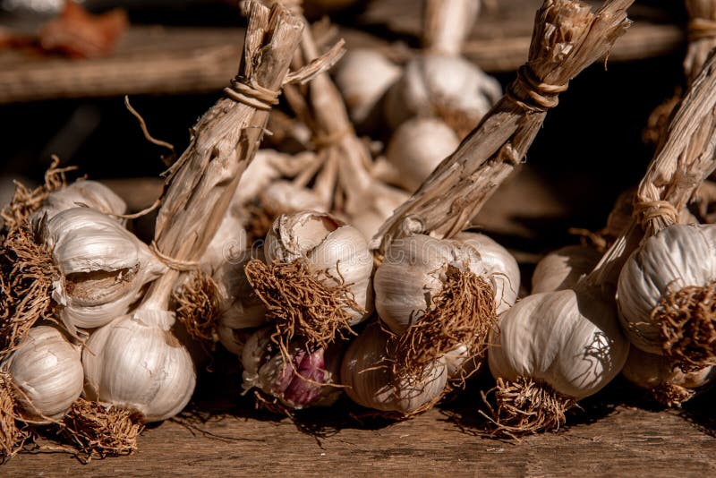 Fresh Dried Garlic on Table at the Farmers Market Stock Image - Image ...