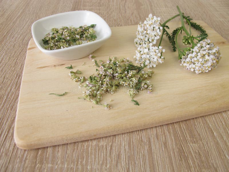 Dried Yarrow And Decoction For Herbal Medicine Stock Image - Image of ...