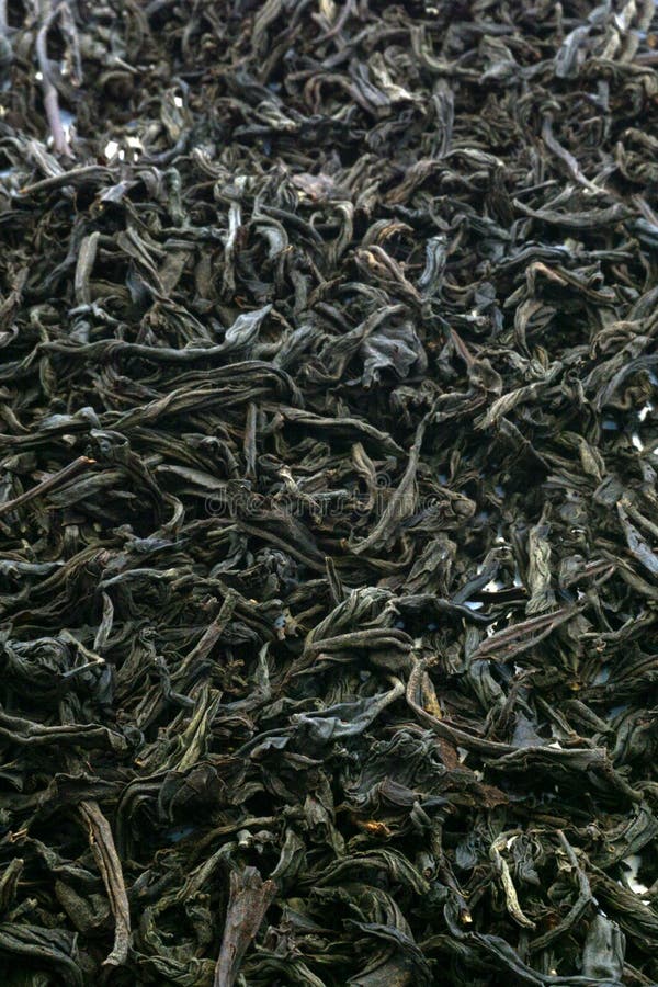 Fresh and Dry Mint on a White Background . Stock Photo - Image of ...