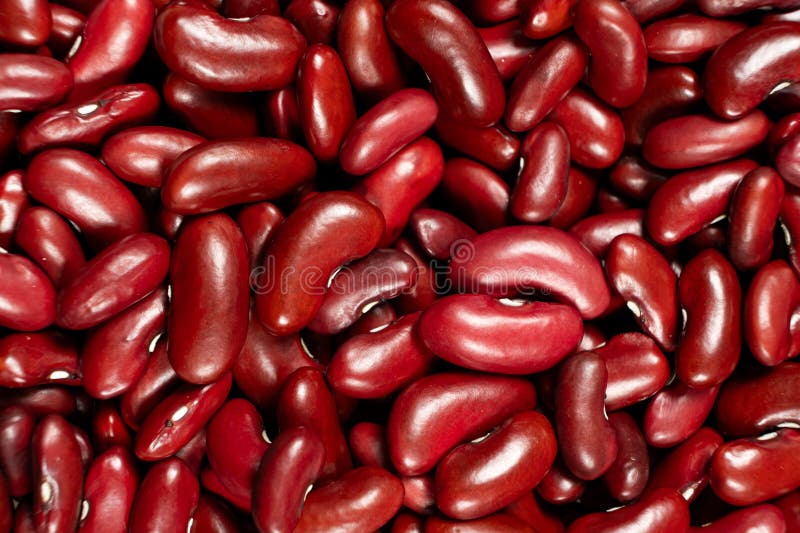 Fresh and Dry Red Kidney Beans for Cooking Top View Stock Photo - Image ...