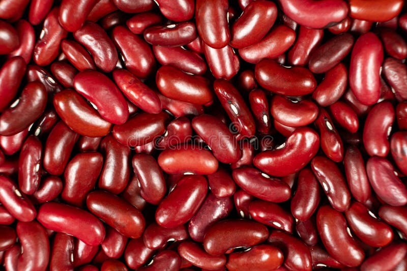 Fresh and Dry Red Kidney Beans for Cooking Top View Stock Photo - Image ...