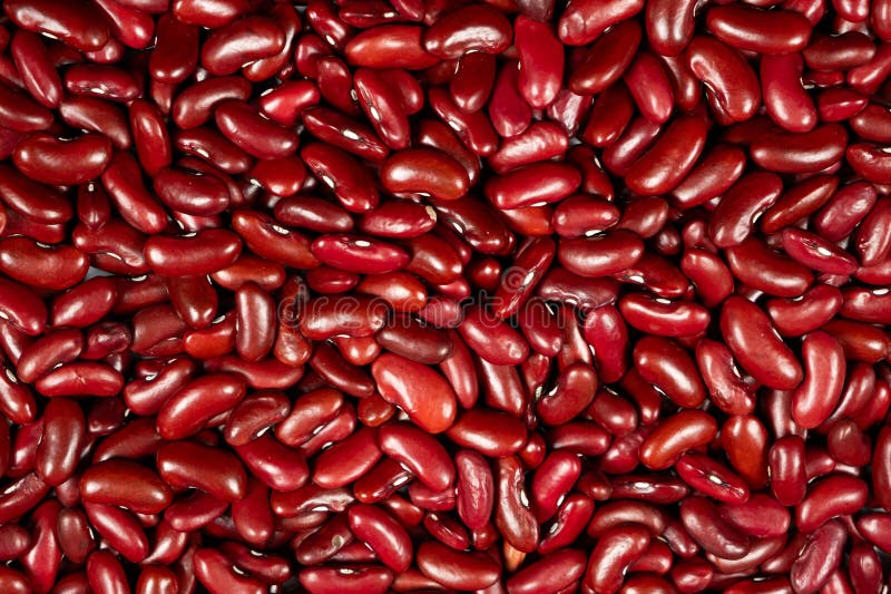 Fresh and Dry Red Kidney Beans for Cooking Top View Stock Image - Image ...