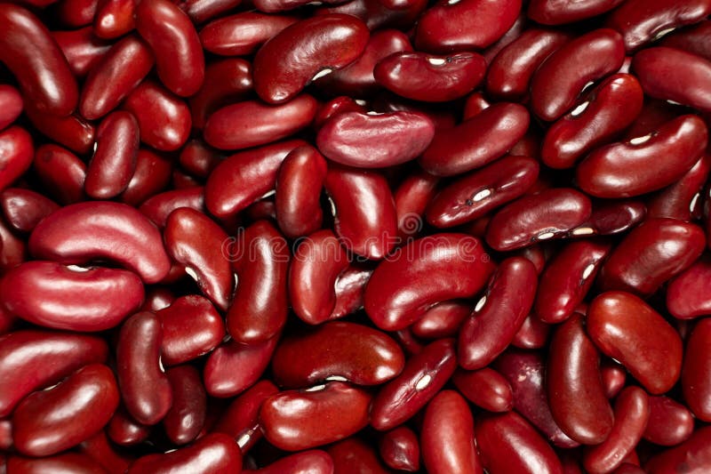 Fresh and Dry Red Kidney Beans for Cooking Top View Stock Photo - Image ...