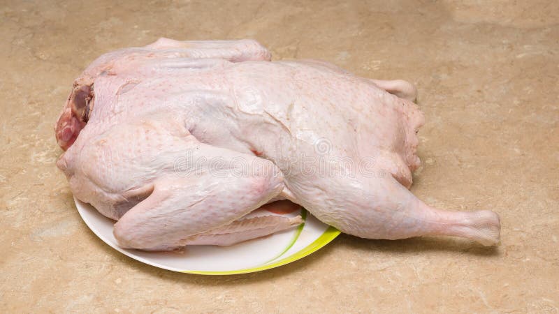 Fresh duck cooking stock photo. Image of white, peking - 120762312