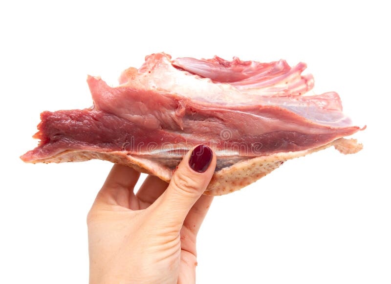 Fresh Duck Meat on a White Background Stock Image - Image of white ...