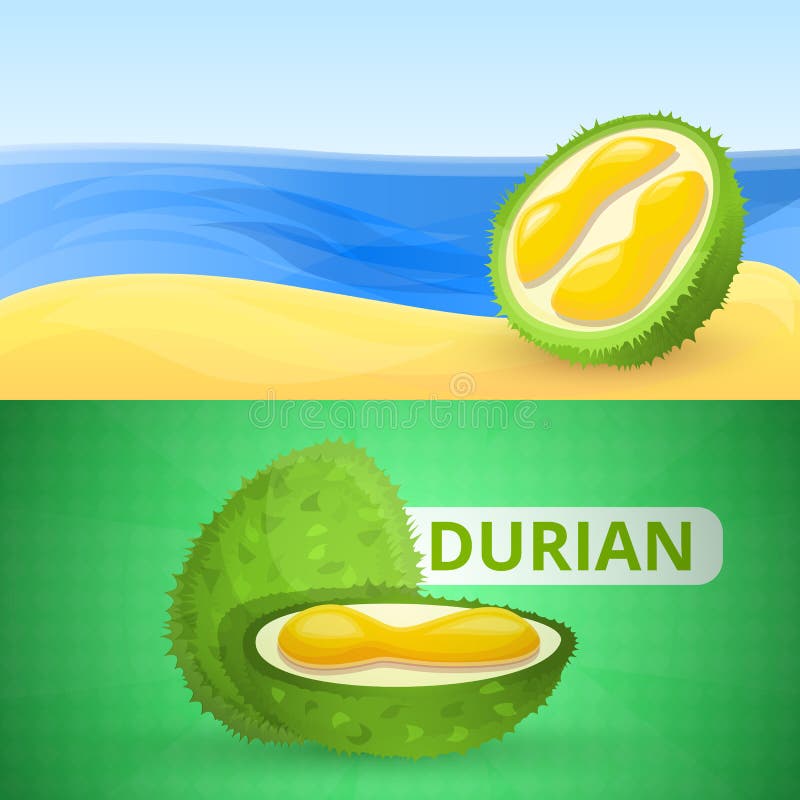 Fresh Durian Banner Set, Cartoon Style Stock Vector - Illustration of ...