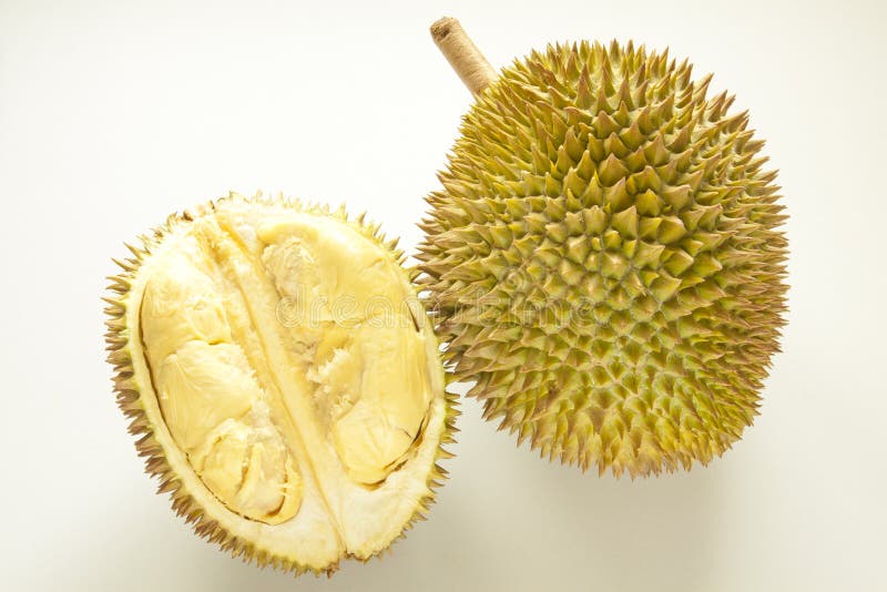 Fresh durian fruit stock image. Image of exotic, taste - 22696913