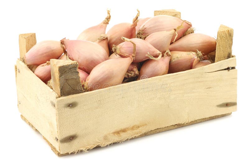 Fresh Dutch Shallots in a Wooden Box Stock Image - Image of vegetable ...