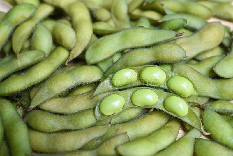 Fresh edamame beans stock image. Image of legume, green - 307526377