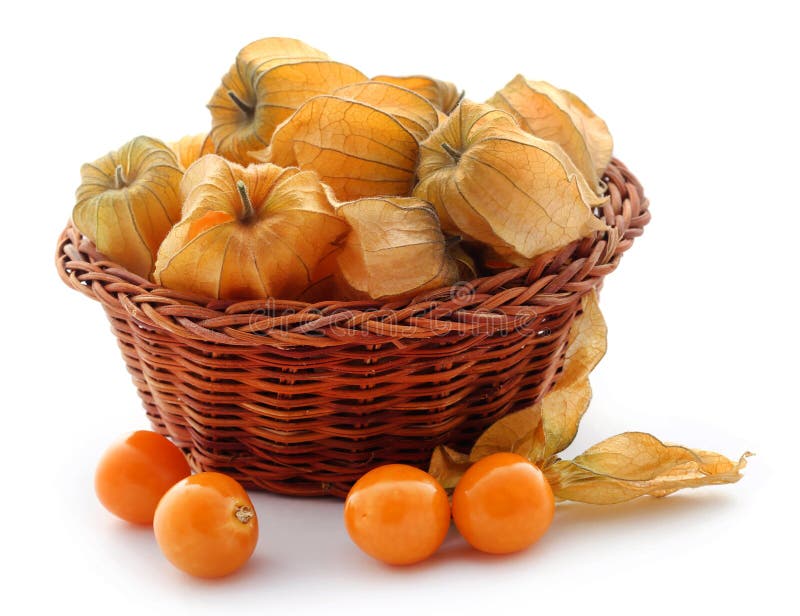 Fresh Edible Moringa Leaves Stock Image - Image of fresh, freshness ...