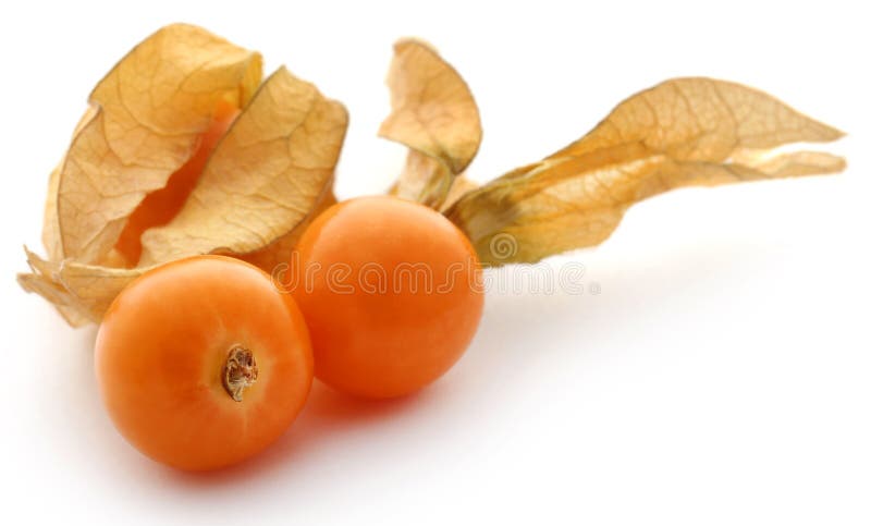 Fresh edible physalis stock image. Image of cherry, tasty - 110705179