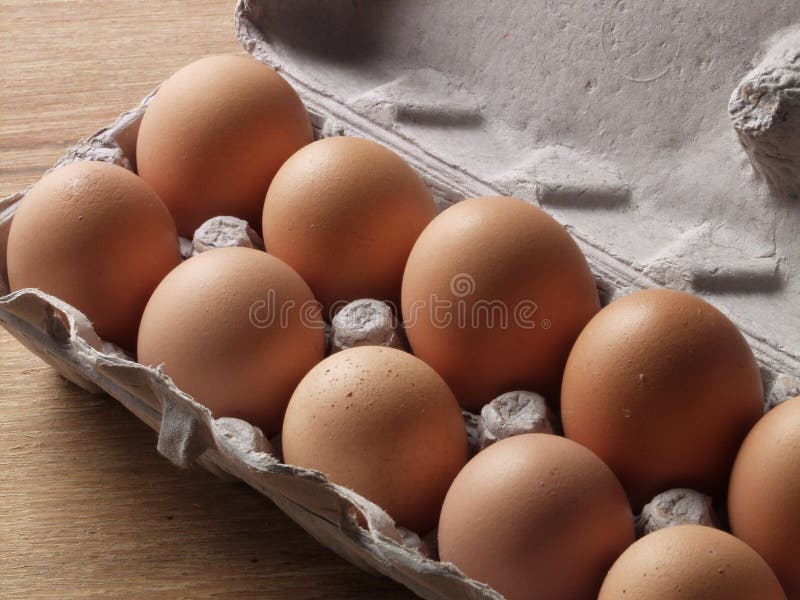 Fresh egg. stock image. Image of brown, organic, animal - 18175091