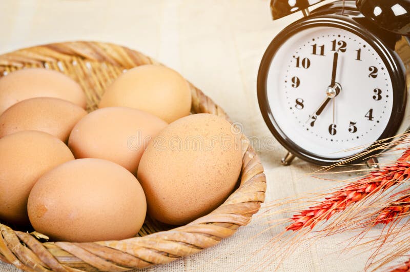 Fresh egg and alarm clock. stock image. Image of groceries - 76495123