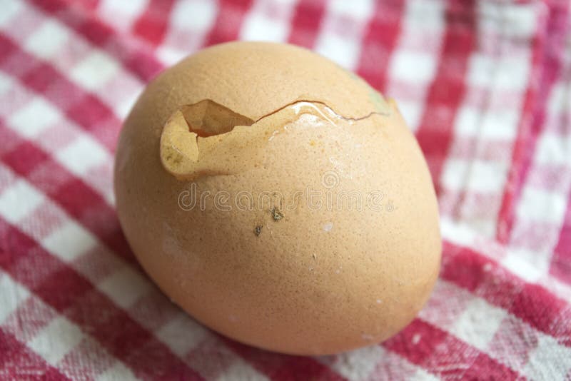 Fresh Egg with Broken Shell Stock Photo - Image of organic, smashed ...