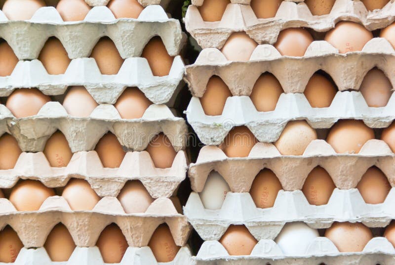 Stack of Egg Cartons stock photo. Image of background - 5875440