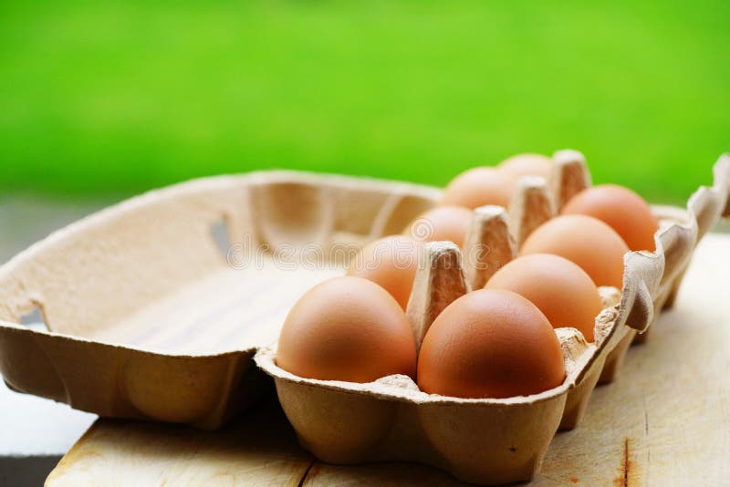Fresh eggs stock photo. Image of packed, healthy, food - 25606306