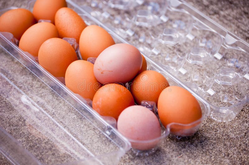 Fresh eggs stock photo. Image of eggs, agriculture, dozen - 26108966