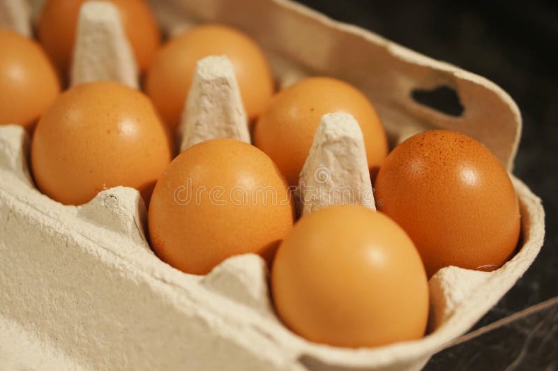 Fresh eggs stock photo. Image of chicken, eggshell, protein - 28101034