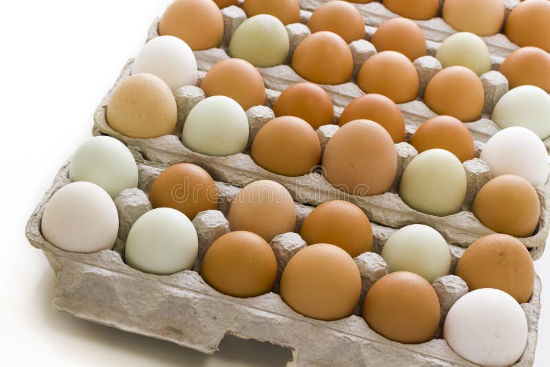Fresh eggs stock photo. Image of farm, brown, color, organic - 29130708