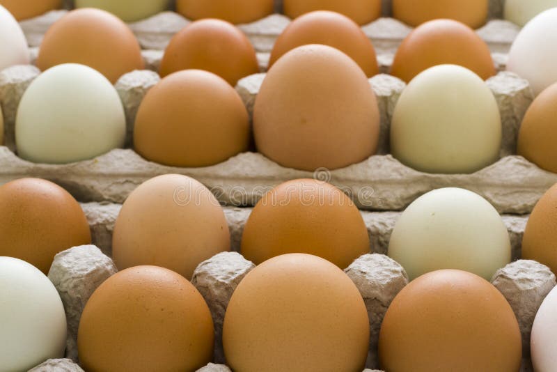 Fresh eggs stock image. Image of color, crate, farm, large - 29130723